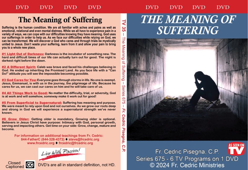The Meaning of Suffering Series 675 DVD - Father Cedric